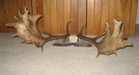 Fairmead Hunting Experience Score Cards