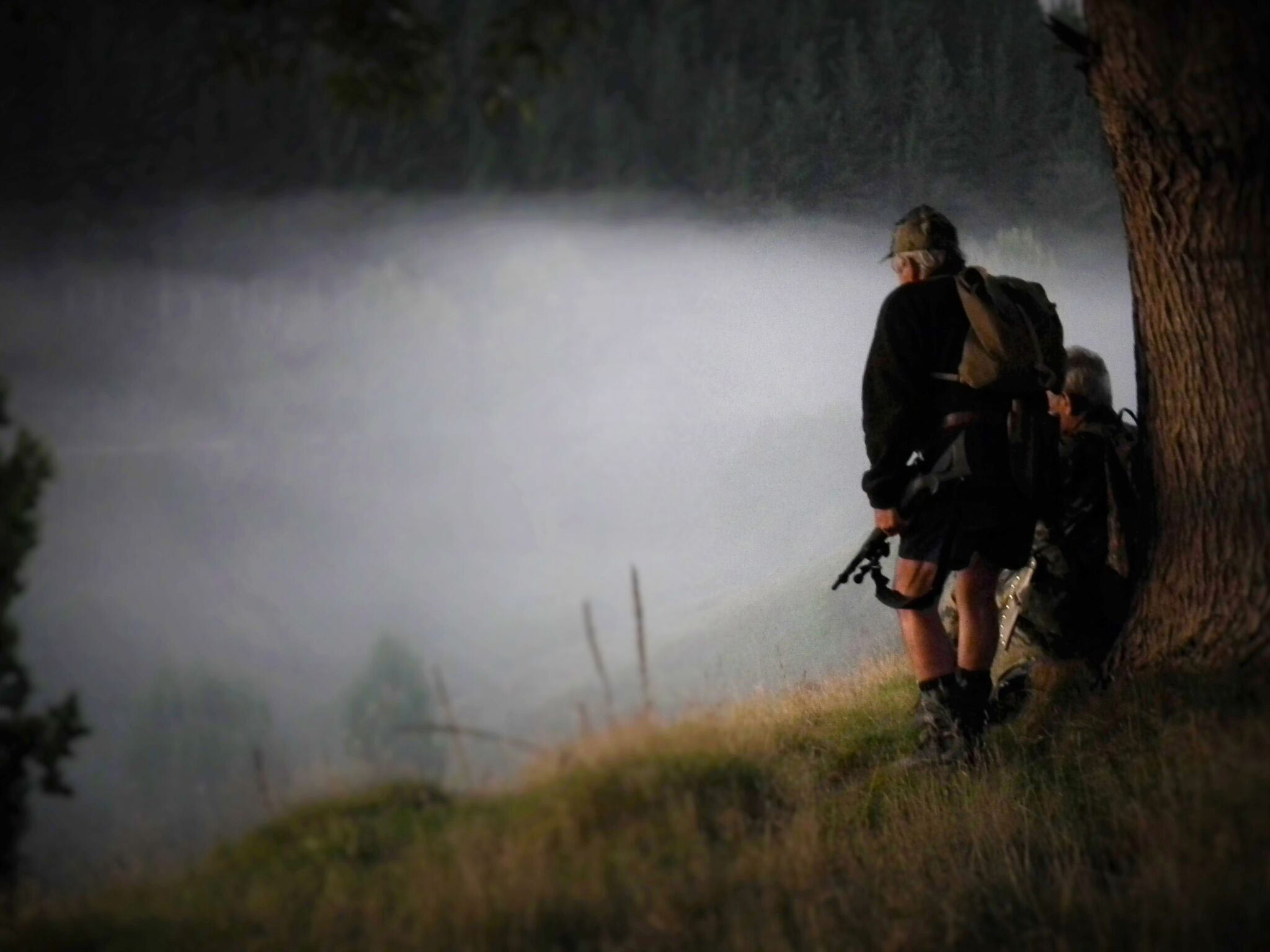 Fairmead Hunting Experience | New Zealand Deer Hunting Trips & Guided Tours